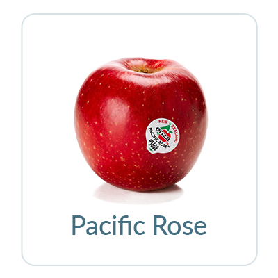 Categories – Suri Agro Fresh