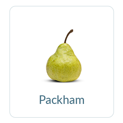 Categories – Suri Agro Fresh